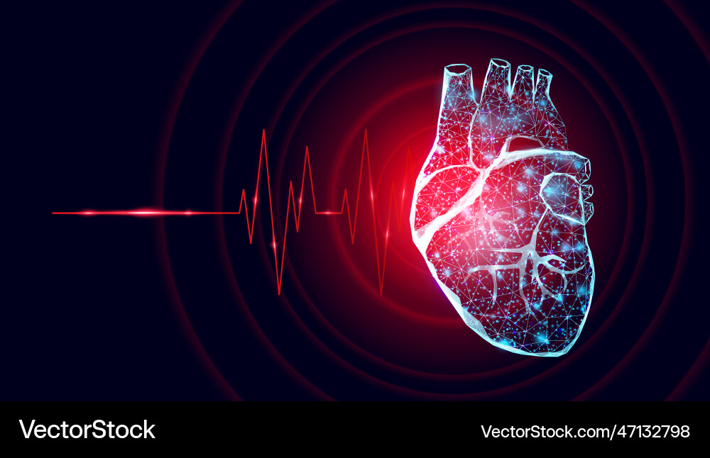Human heart wireframe world heart day concept Vector Image