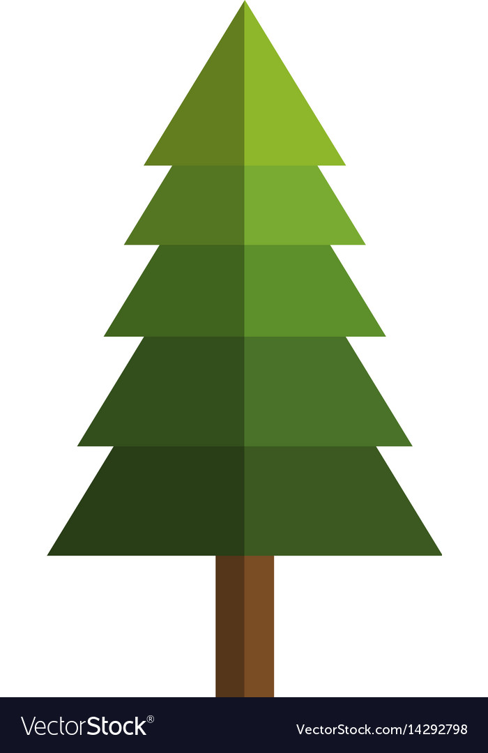 Pine tree icon Royalty Free Vector Image - VectorStock