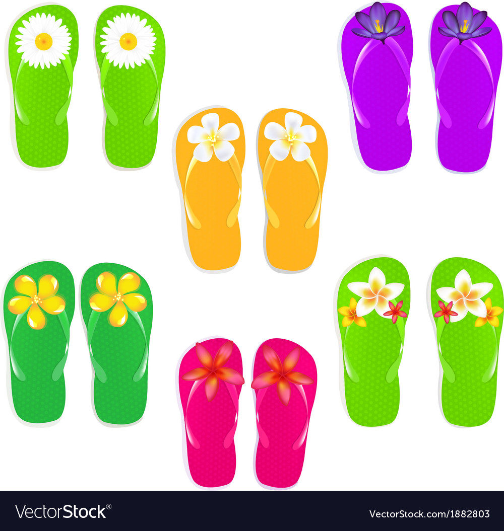 Flip flops with color flowers Royalty Free Vector Image