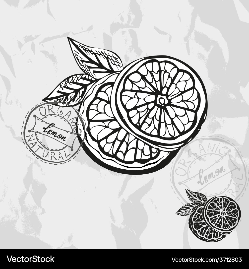 Hand drawn decorative lemon Royalty Free Vector Image