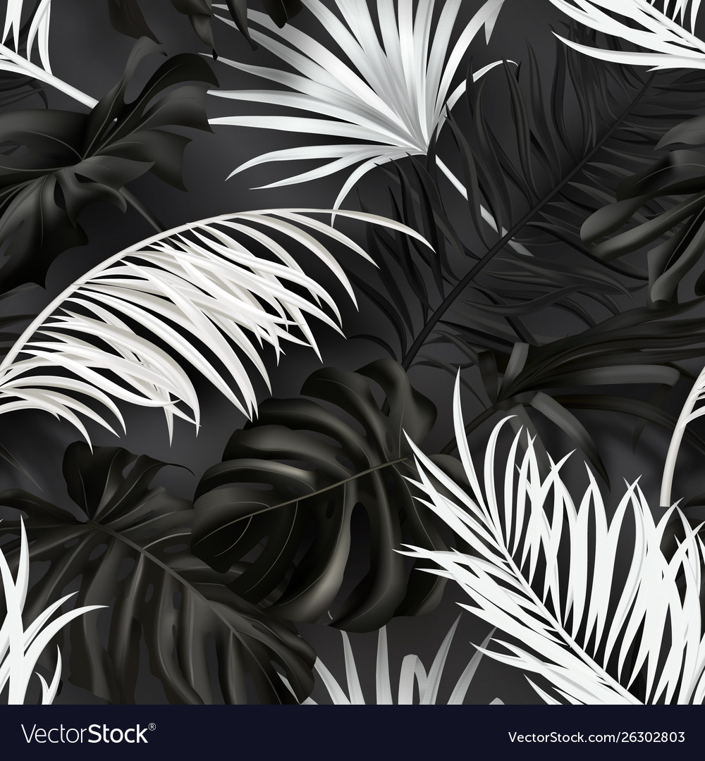 Seamless summer pattern with white and black Vector Image