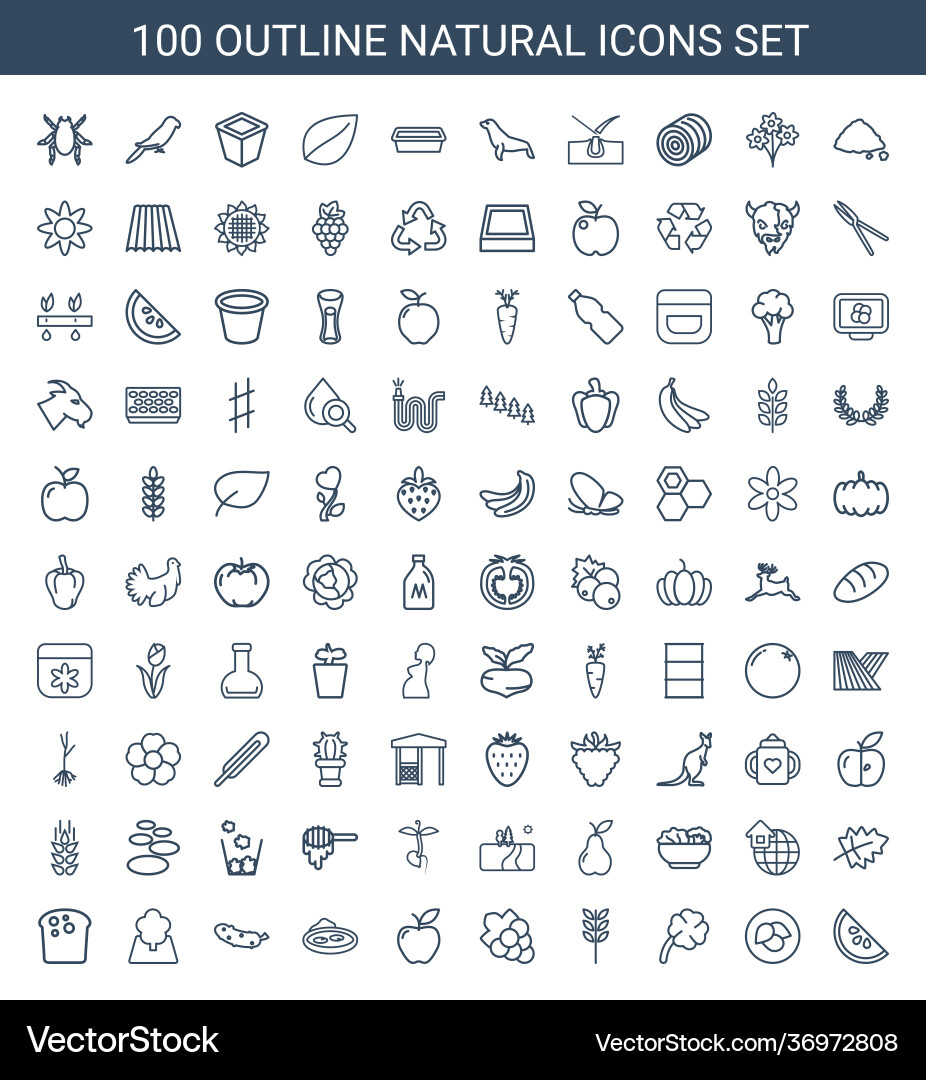 Natural icons Royalty Free Vector Image - VectorStock