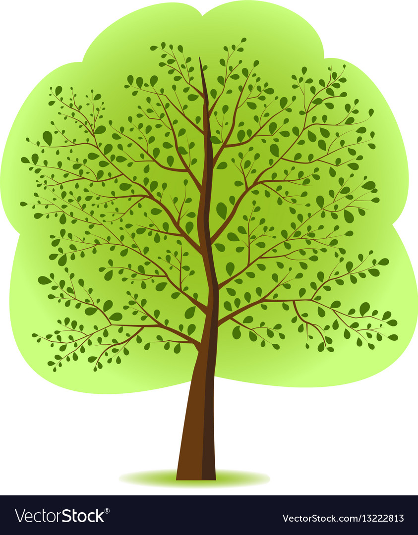 Tree on white background Royalty Free Vector Image