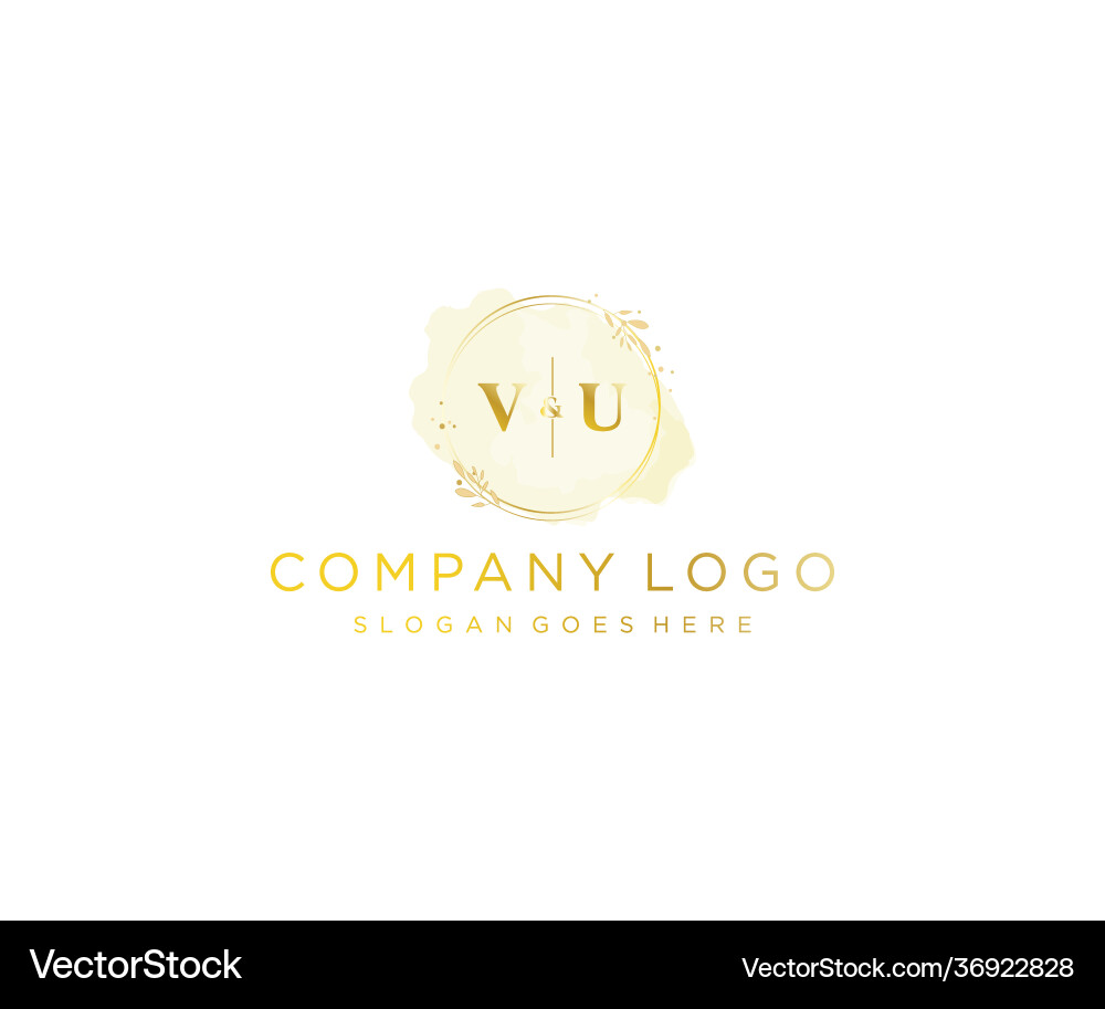 Initial vu letters colorful watercolor splash Vector Image