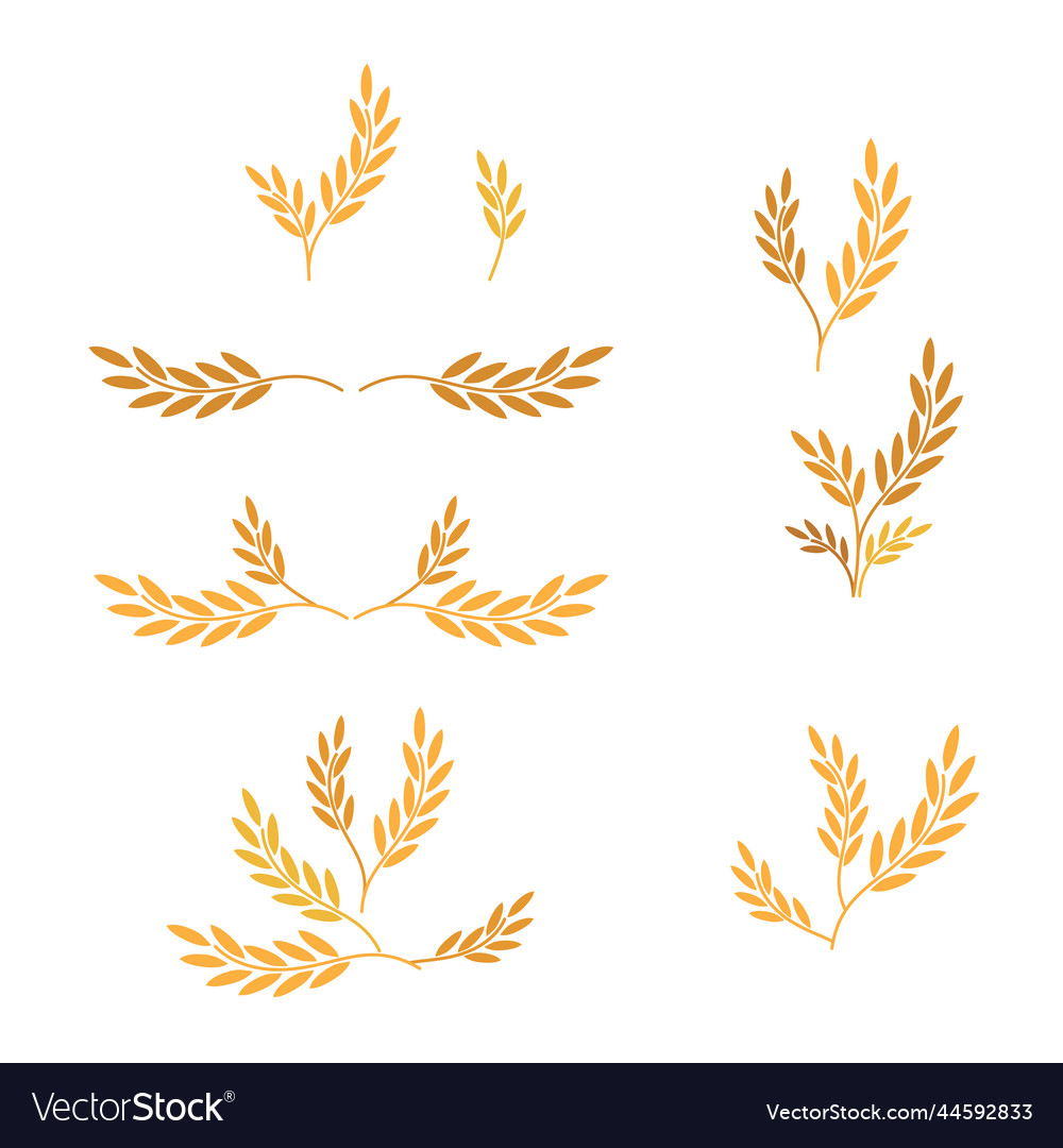 Leaf Royalty Free Vector Image - VectorStock