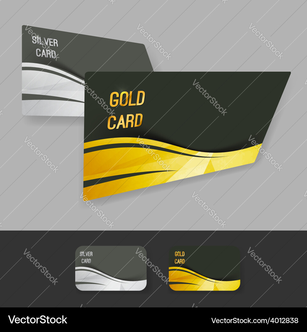 Premium gold silver member card collection Vector Image