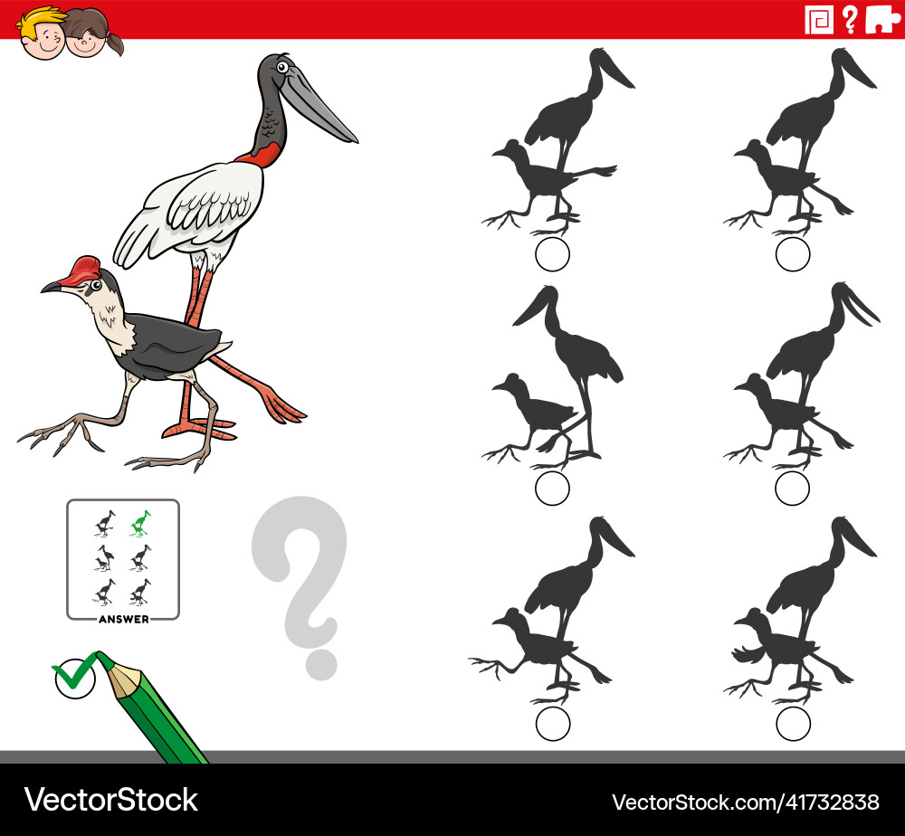Shadows game with cartoon bird characters Vector Image