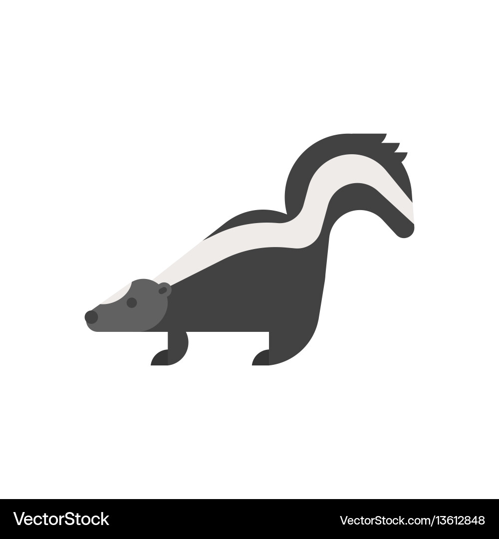 Flat style of skunk Royalty Free Vector Image - VectorStock