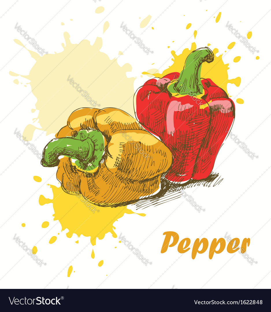 Pepper background Royalty Free Vector Image - VectorStock