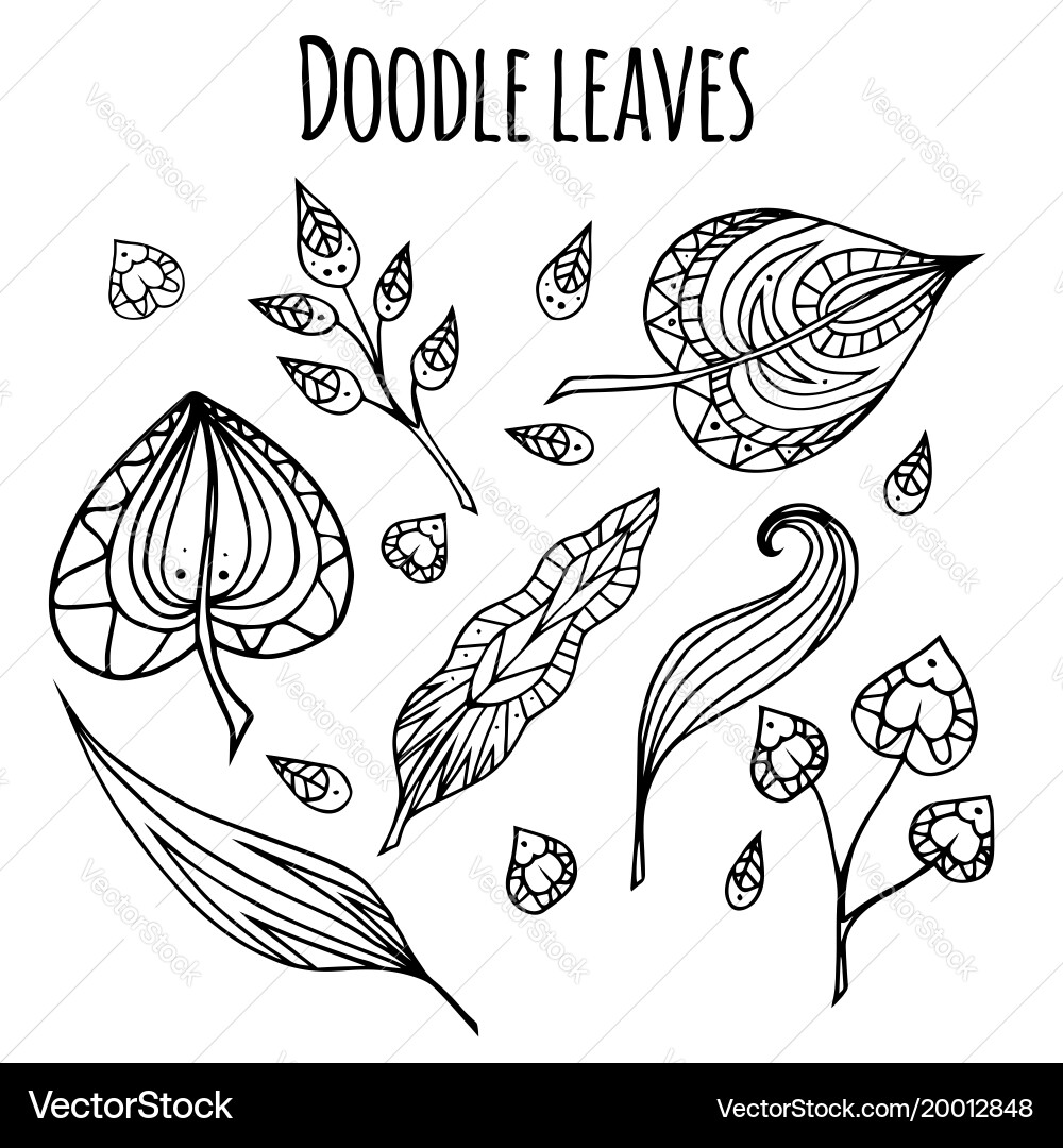 Set black and white doodle leaves Royalty Free Vector Image