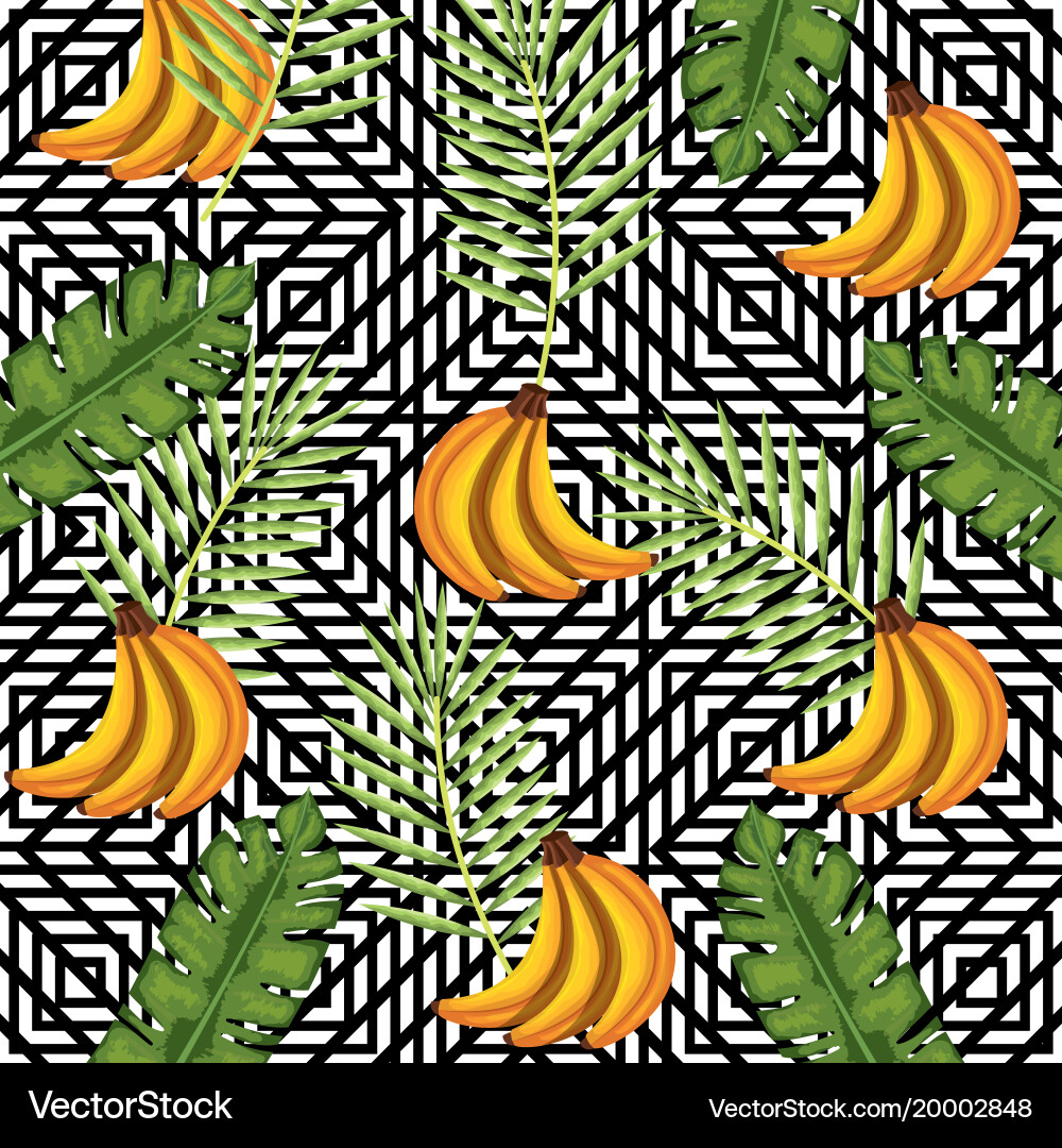 Tropical flower and banana with abstract Vector Image