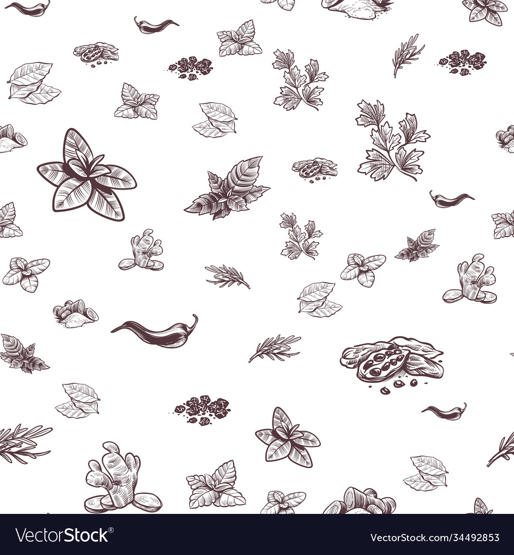 Herbs and spices seamless pattern hand drawn Vector Image