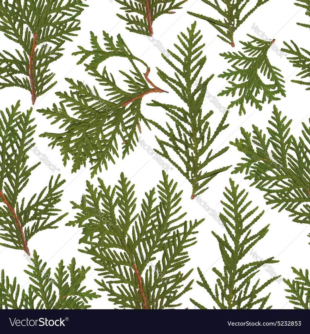 Leaves seamless pattern Royalty Free Vector Image