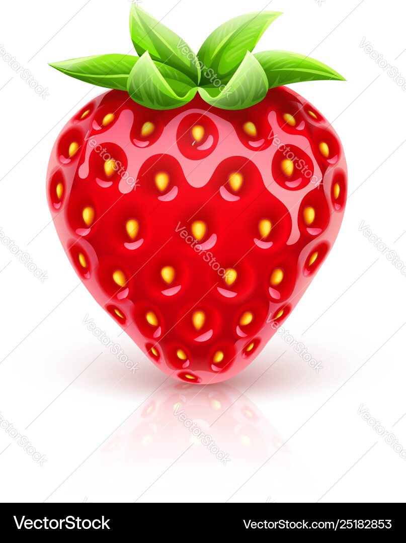 Ripe red strawberry berry Royalty Free Vector Image