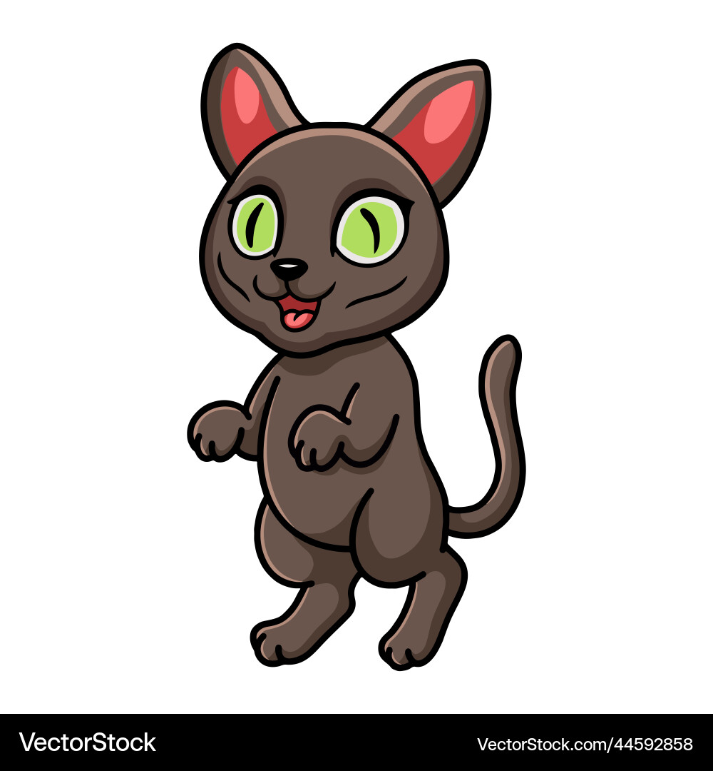 Cute korat cat cartoon standing Royalty Free Vector Image