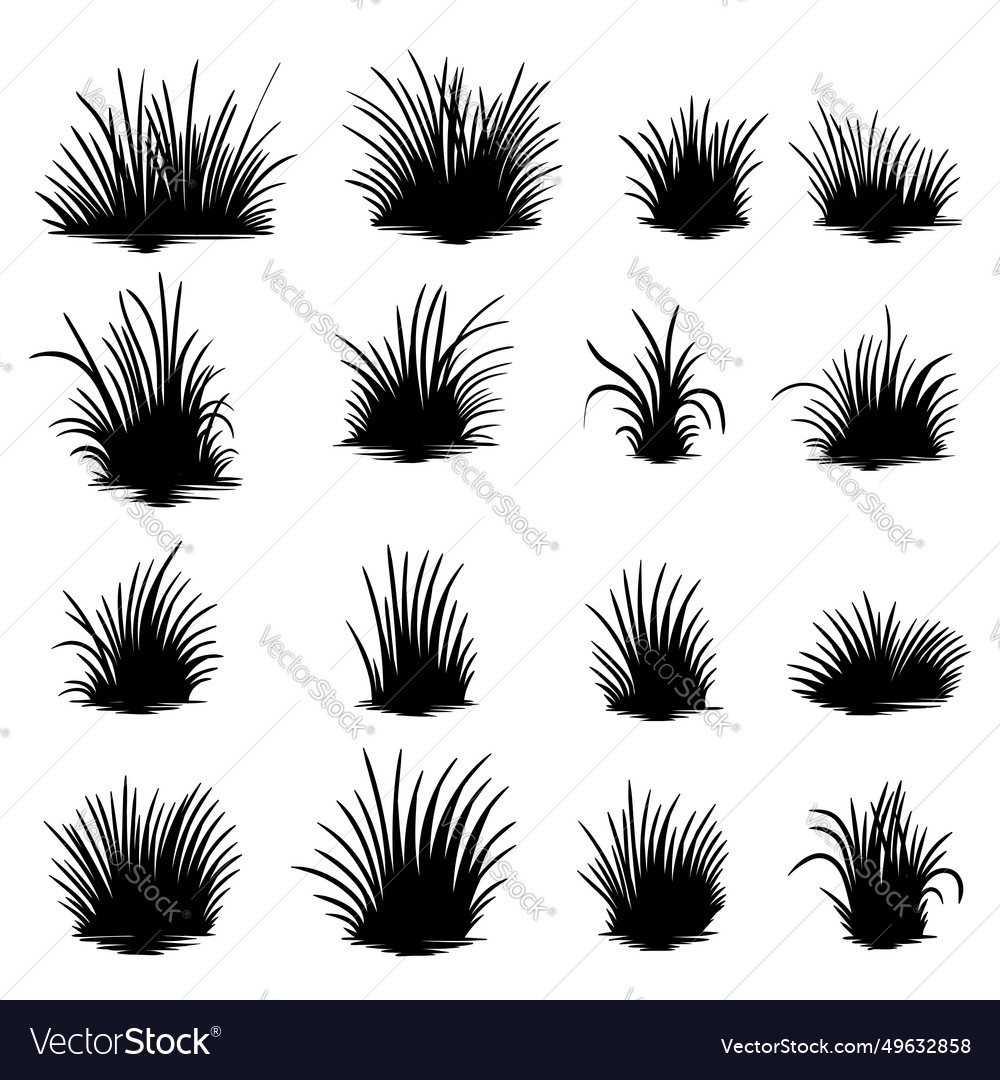 Grass elements set collection Royalty Free Vector Image