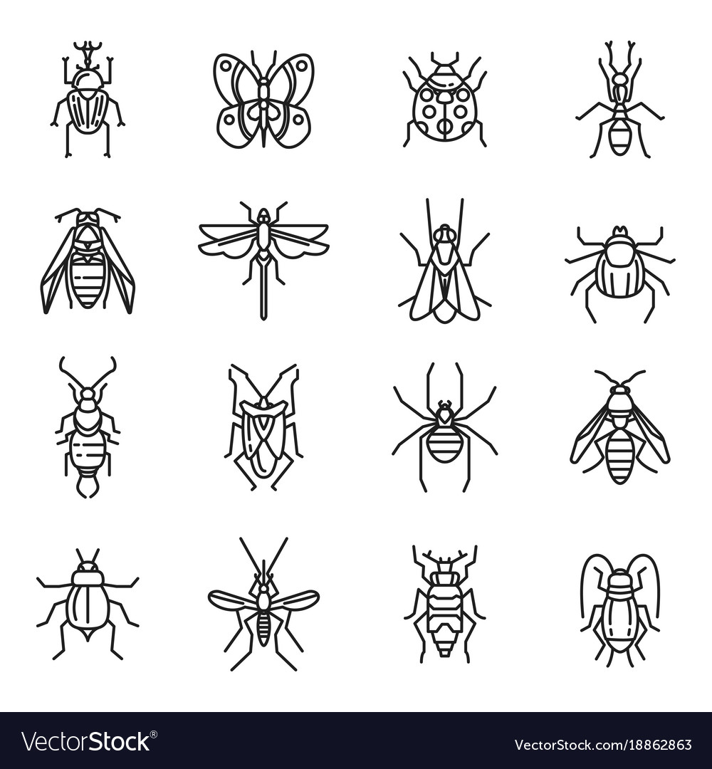 Insects thin line Royalty Free Vector Image - VectorStock