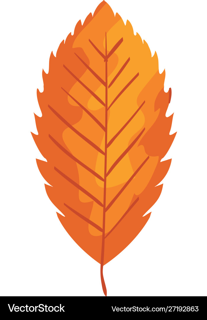 Season autumn leaf isolated icon Royalty Free Vector Image