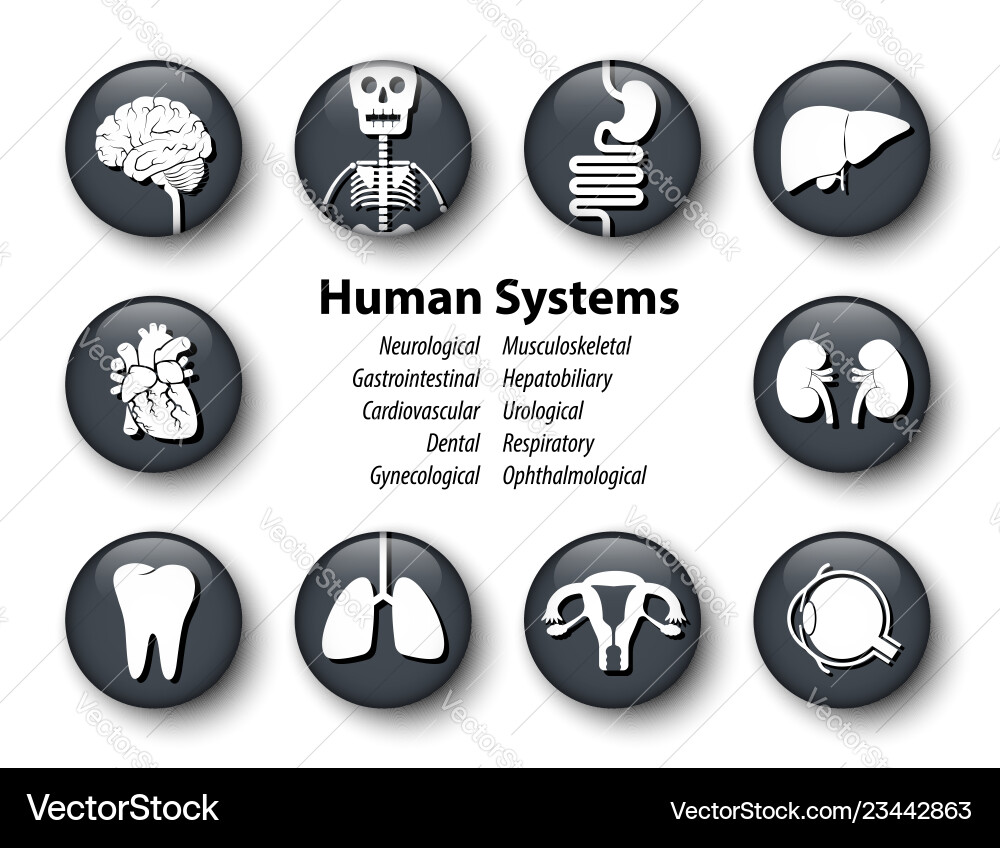 Set human systems icon round glass cover Vector Image