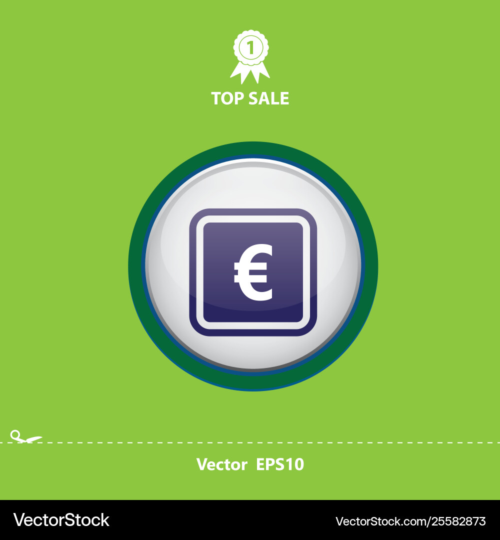 White euro money icon in blue frame Royalty Free Vector