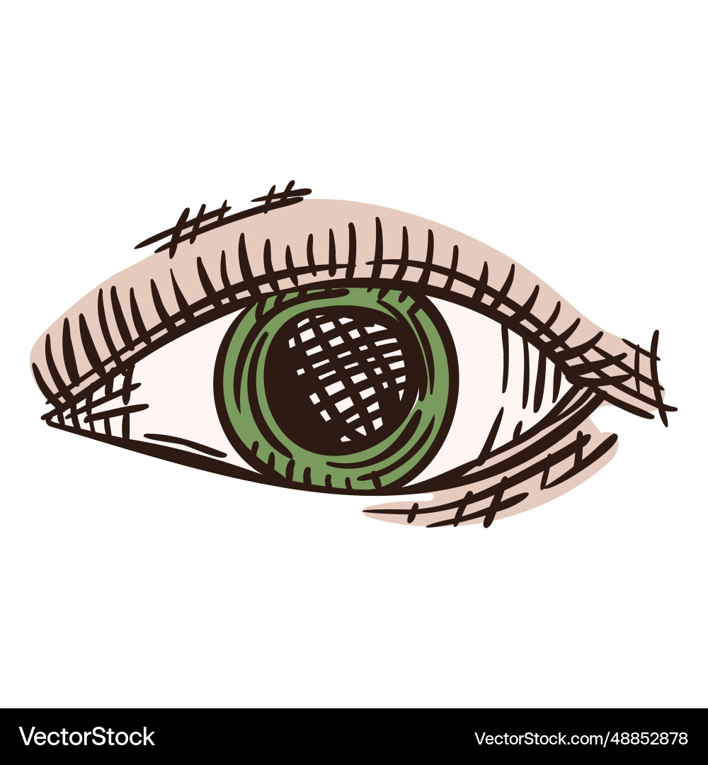 Frontal green eye color hand drawn Royalty Free Vector Image