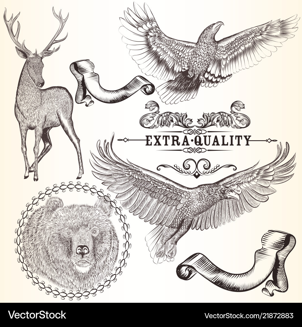 Collection of decorative animals for design Vector Image
