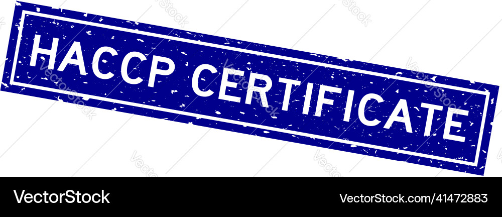 Grunge blue haccp hazard analysis critical Vector Image