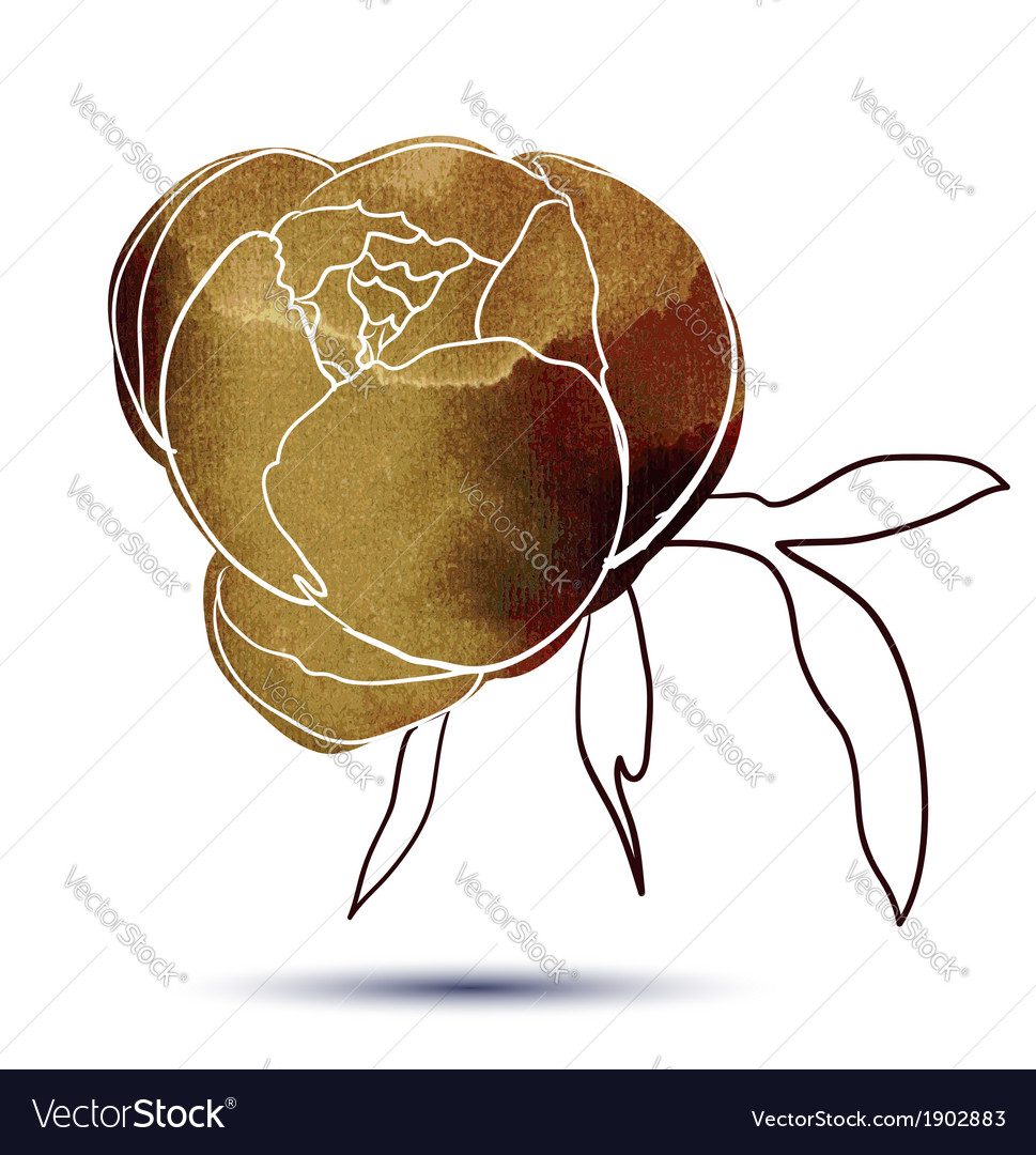 Iris flower Royalty Free Vector Image - VectorStock