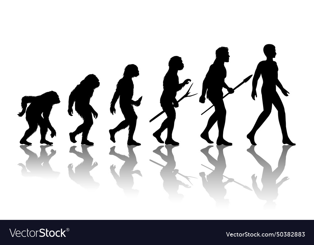 Man evolution Royalty Free Vector Image - VectorStock