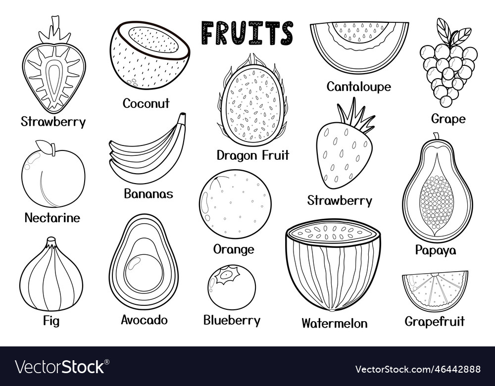 Black and white fruits collection healthy food Vector Image