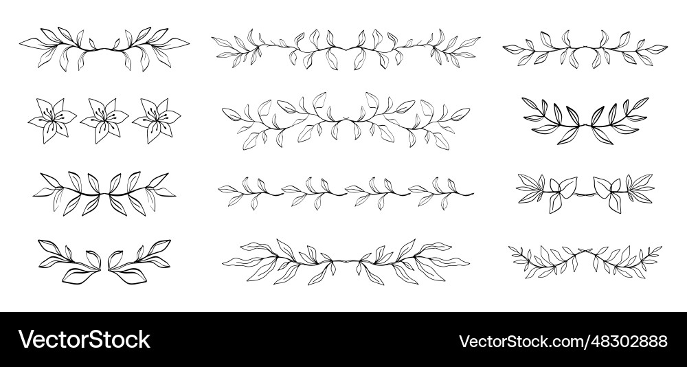 Floral dividers set hand drawn leaf borders decor Vector Image