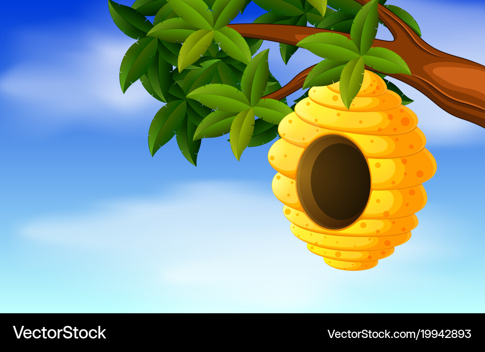 Beehive in garden with scene sky clear Royalty Free Vector
