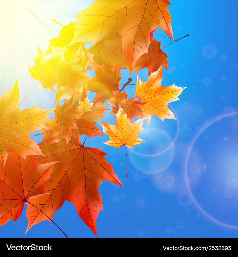 Delicate autumn sun with glare on blue sky Vector Image