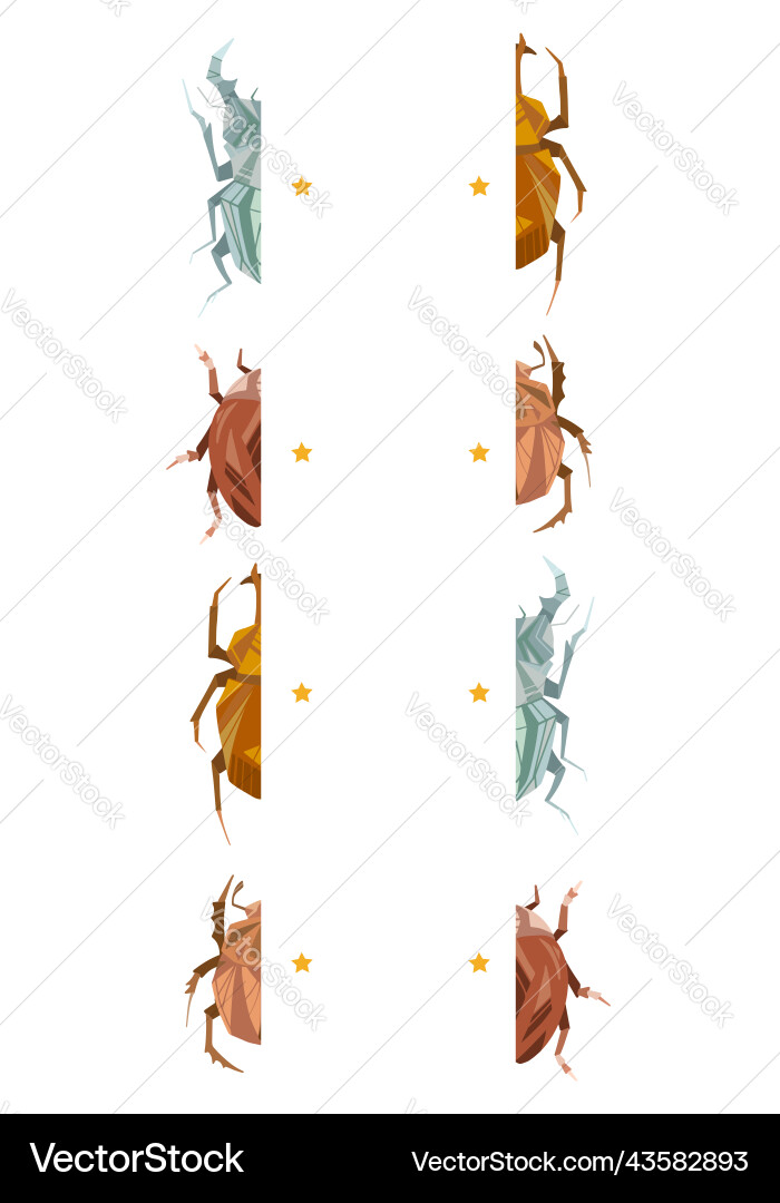 Find right half for insects match the halves Vector Image