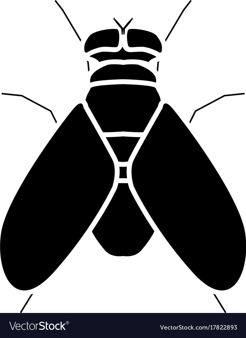 Fly Royalty Free Vector Image - VectorStock