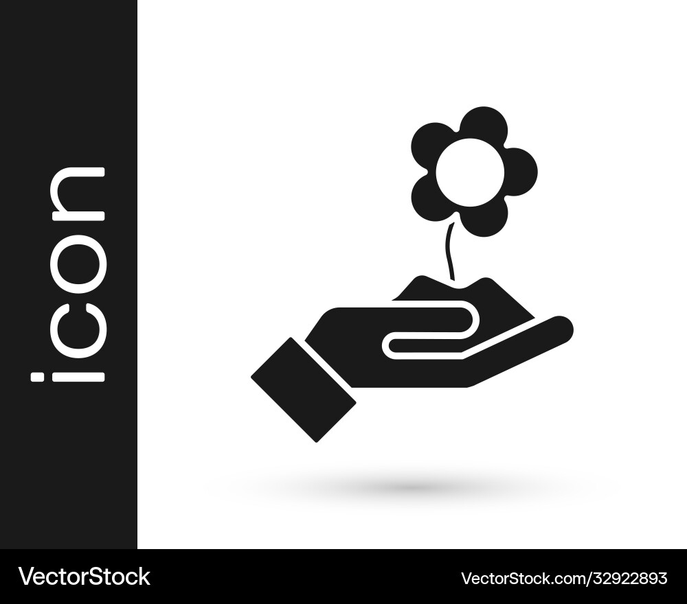 Grey hand holding flower icon isolated on white Vector Image