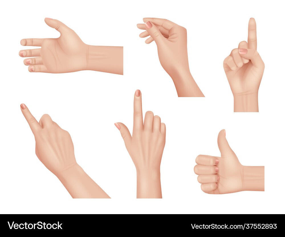 Hands gestures realistic human anatomy body Vector Image