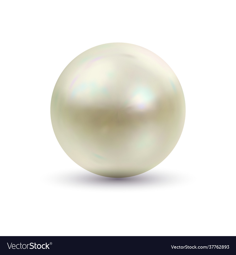 Pearls3 Royalty Free Vector Image - VectorStock