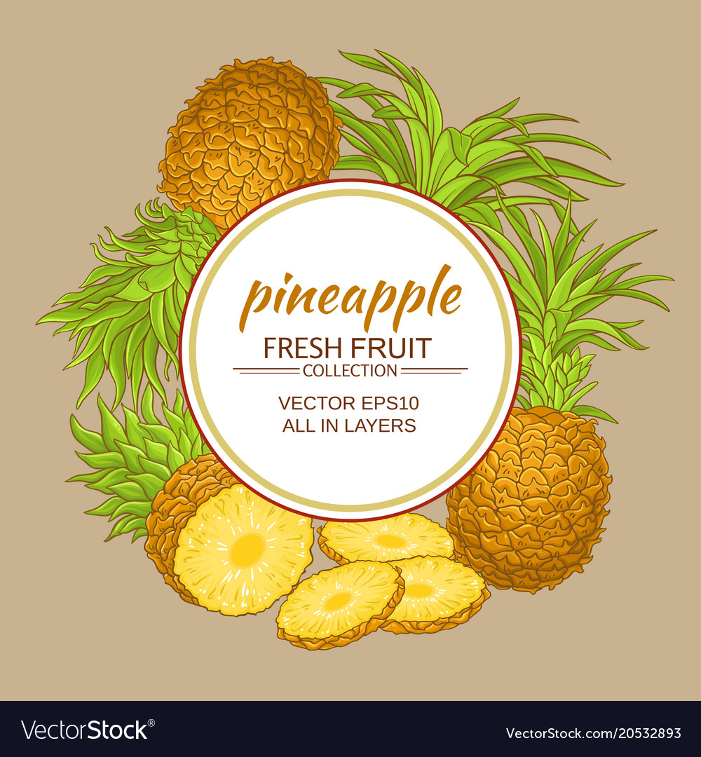 Pineapple frame Royalty Free Vector Image - VectorStock