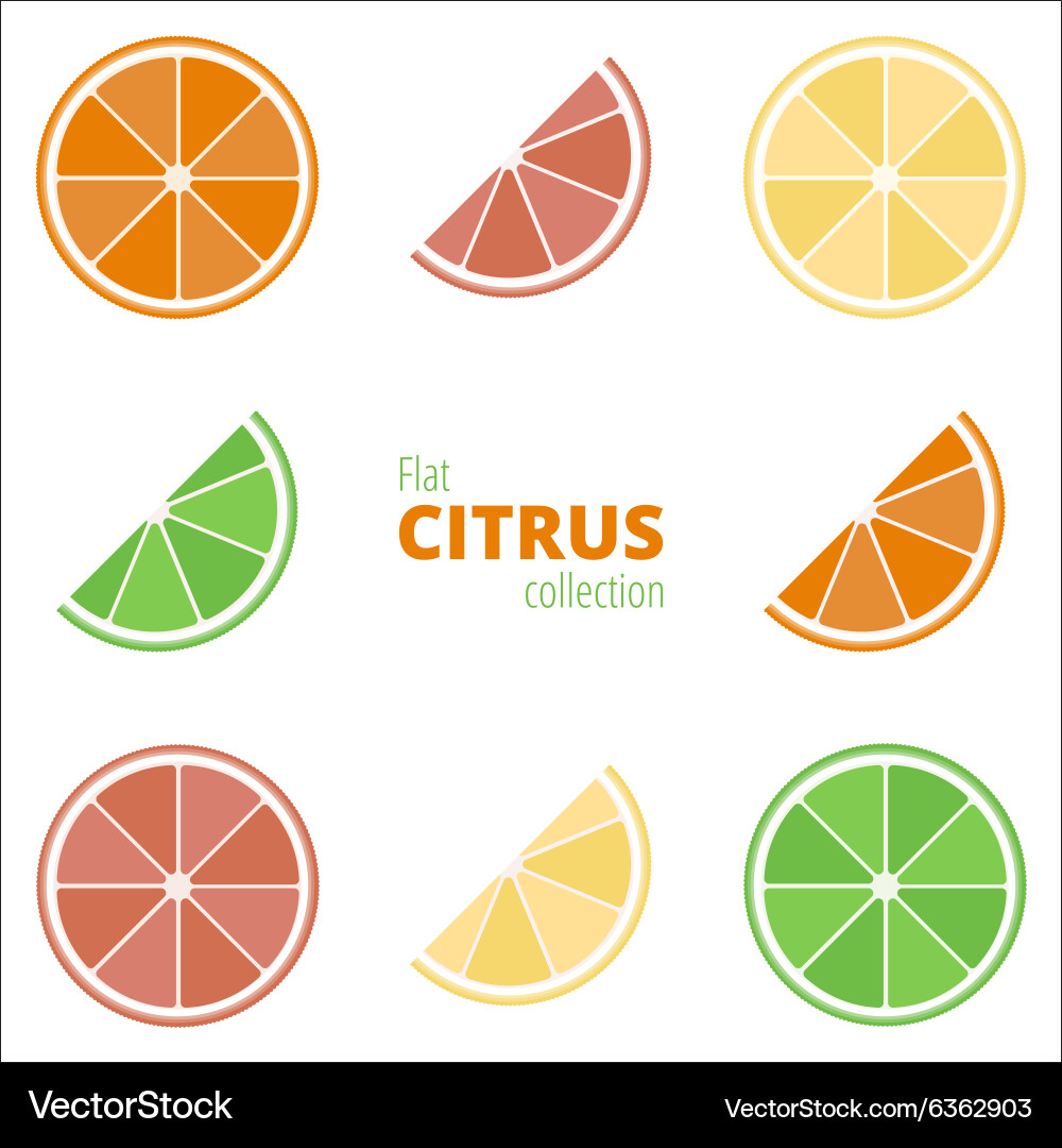Flat icons of citrus Royalty Free Vector Image