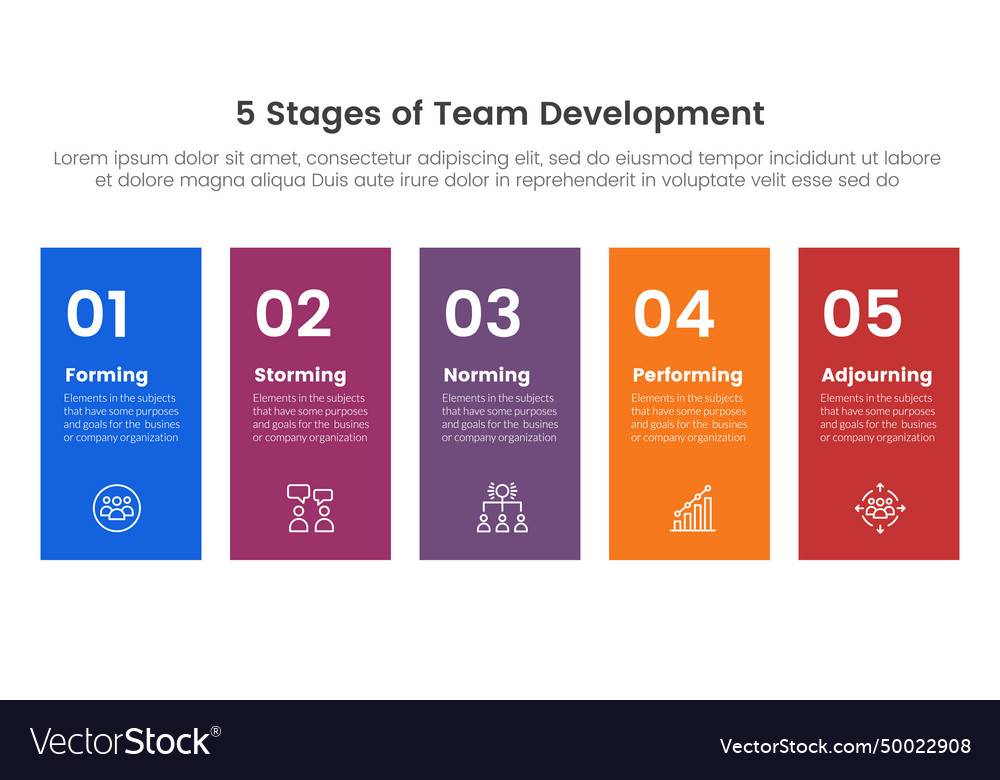 5 stages team development model framework Vector Image