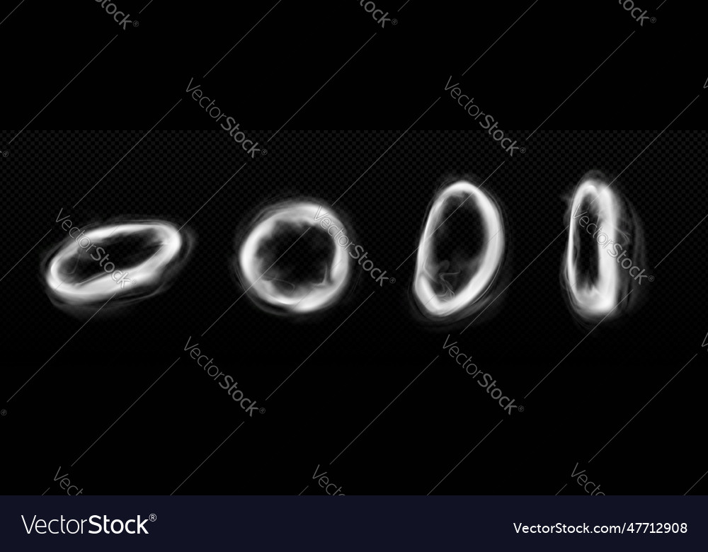 Smoke ring cloud steam round cloud effect Vector Image