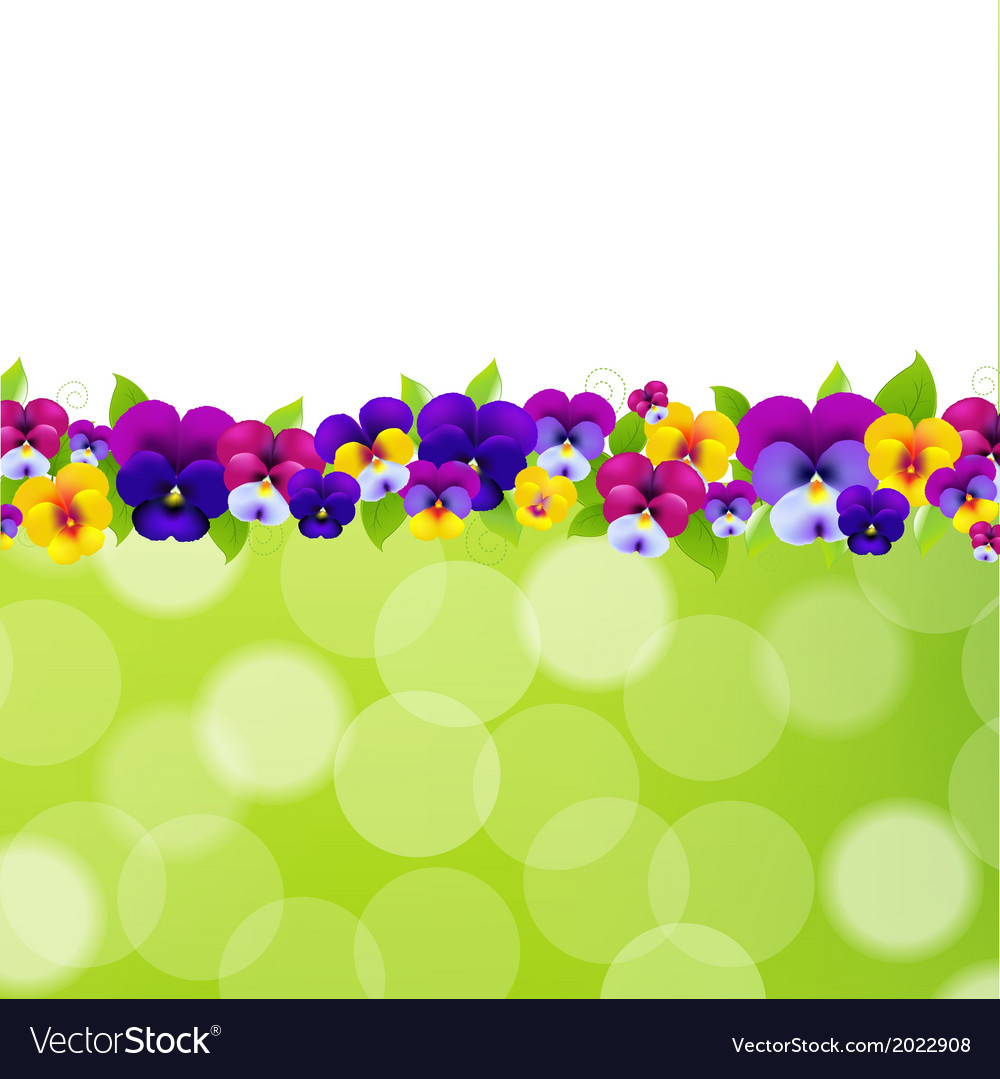 Spring flowers border Royalty Free Vector Image