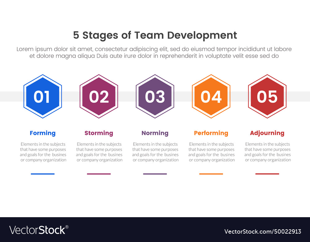 5 stages team development model framework Vector Image