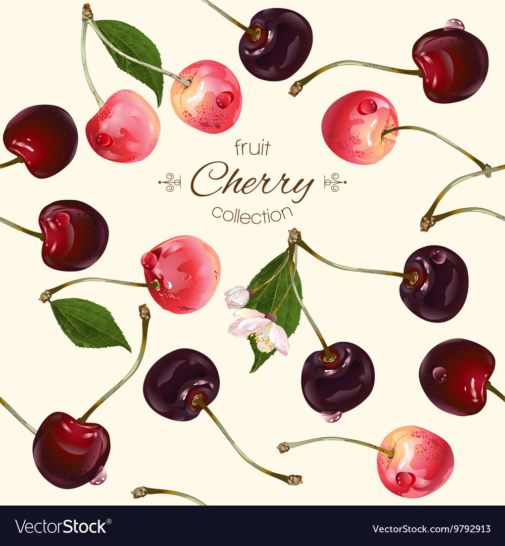 Cherry seamless pattern Royalty Free Vector Image