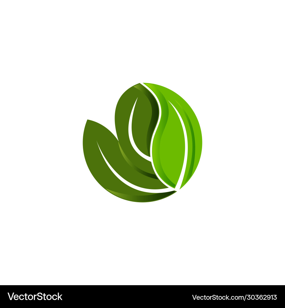 Wonderful nature simple and modern growing green Vector Image