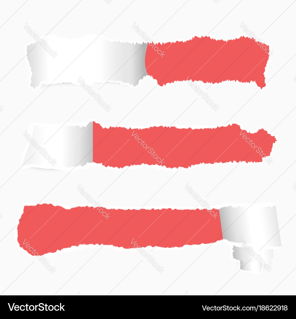 Ripped paper banner design realistic torn Vector Image
