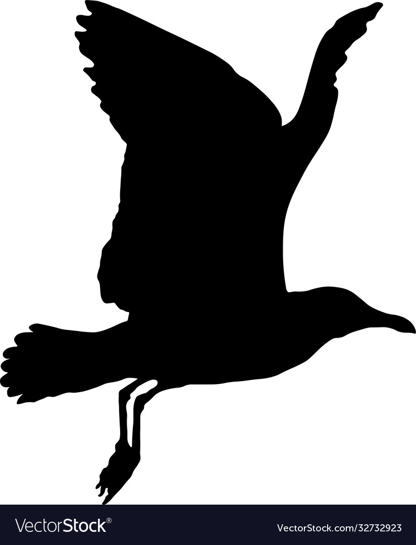 Seagull in flight silhouette Royalty Free Vector Image