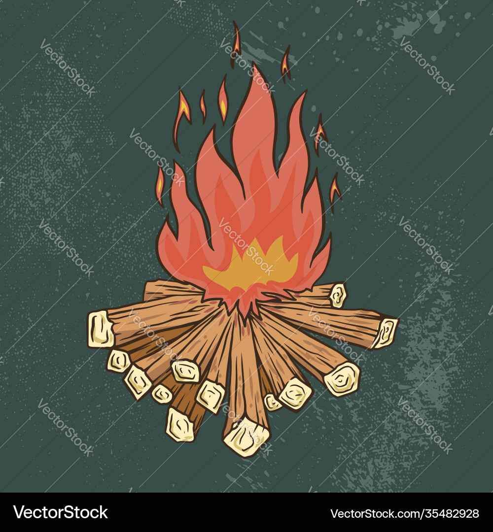 Campfire in engraving style on grunge background Vector Image