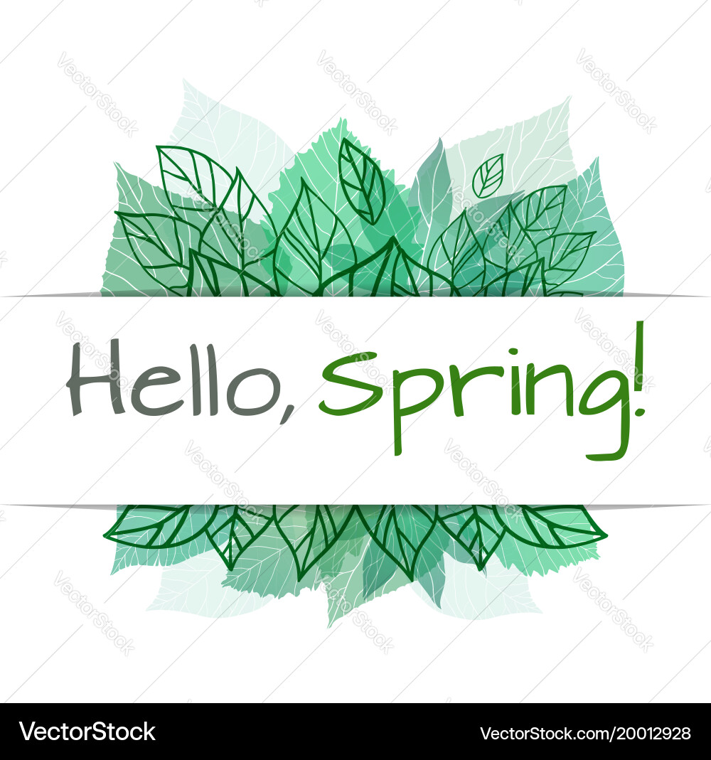 Spring card with doodle and green leaves Vector Image
